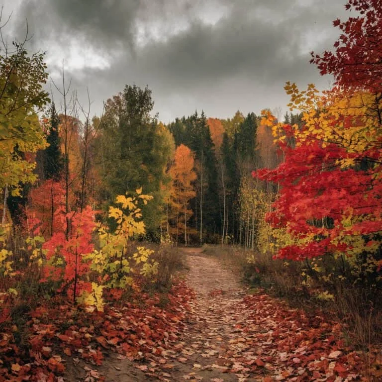 21+ Fall Colors to Inspire Your Next Creative Project - ostrali.com