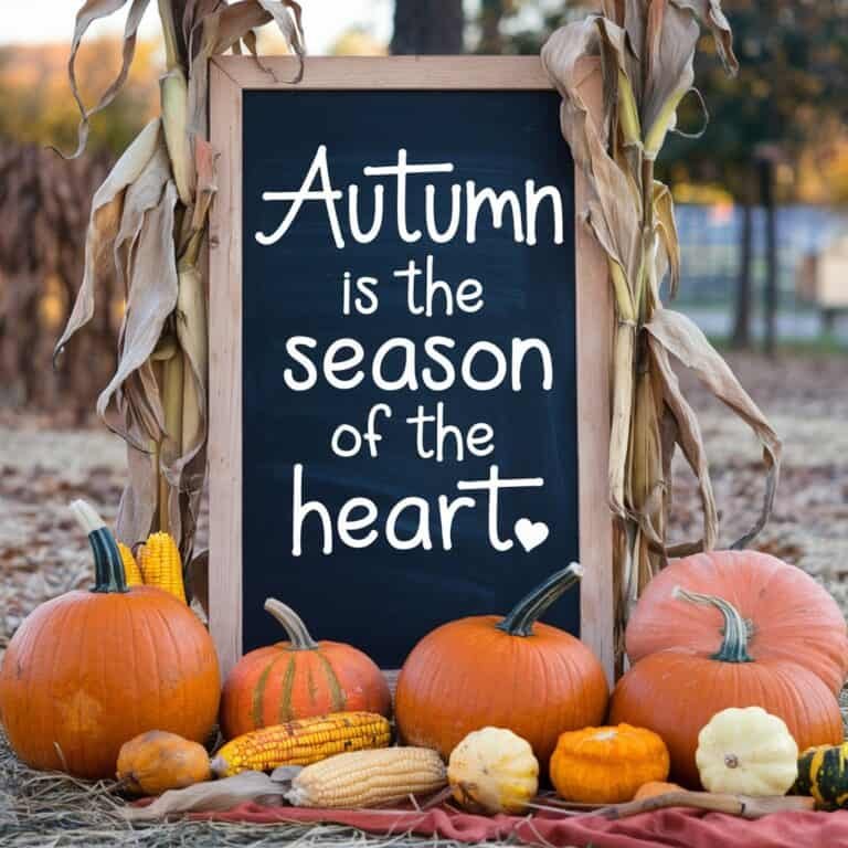 10 Fall Sayings That Will Inspire You to Get Cozy - ostrali.com