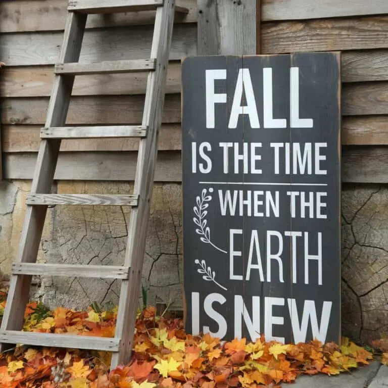 10 Fall Sayings That Will Inspire You to Get Cozy - ostrali.com