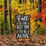 10 Fall Sayings That Will Inspire You to Get Cozy - ostrali.com