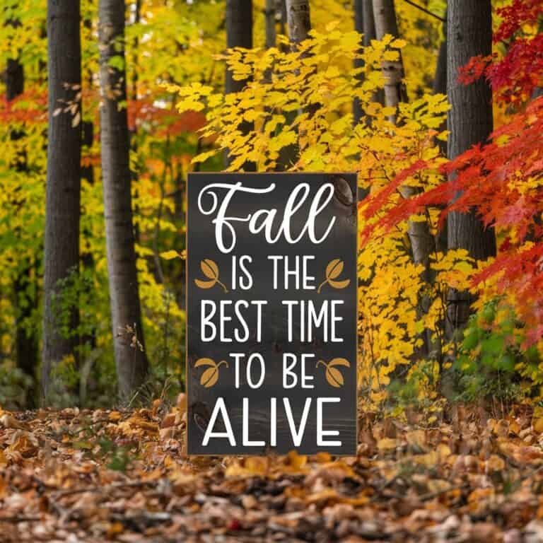 10 Fall Sayings That Will Inspire You to Get Cozy - ostrali.com