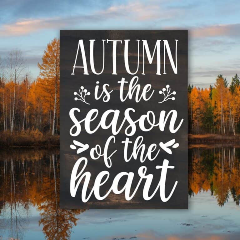 10 Fall Sayings That Will Inspire You to Get Cozy - ostrali.com