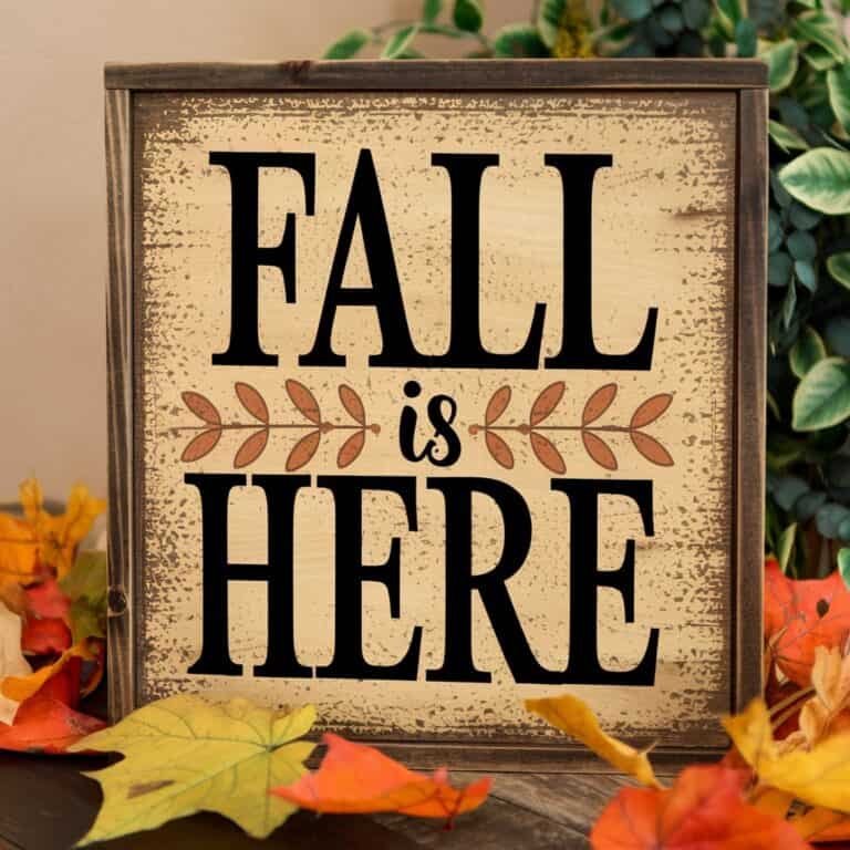 9 Fall Signs You Can't Ignore This Season - ostrali.com