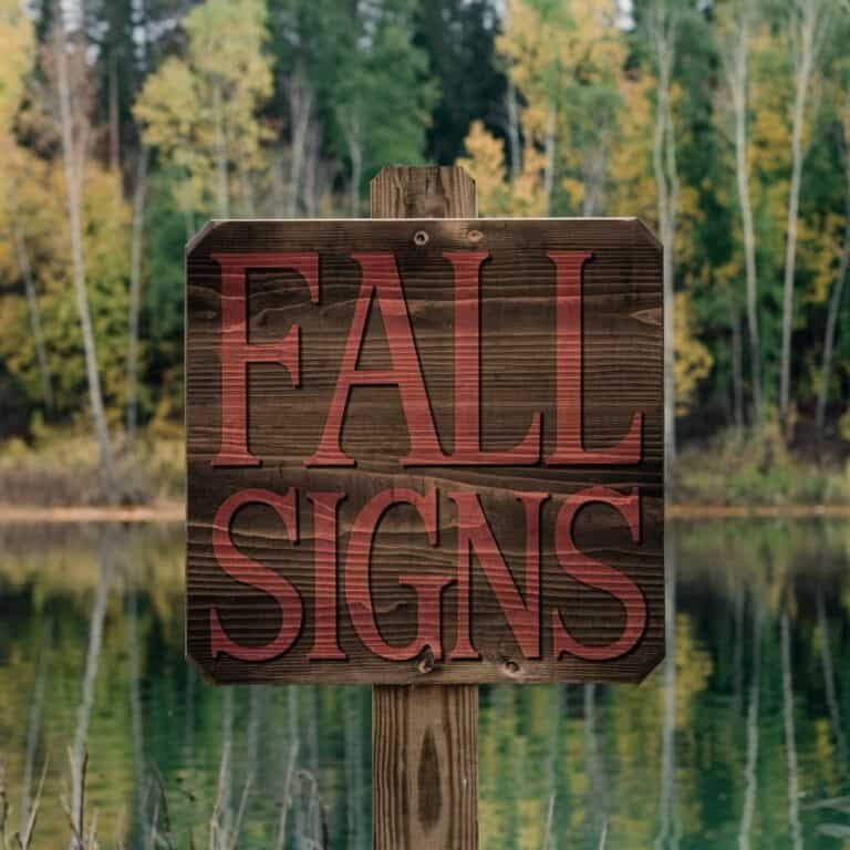 9 Fall Signs You Can't Ignore This Season - ostrali.com