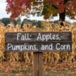 9 Fall Signs You Can't Ignore This Season - ostrali.com