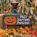 9 Fall Signs You Can't Ignore This Season - ostrali.com