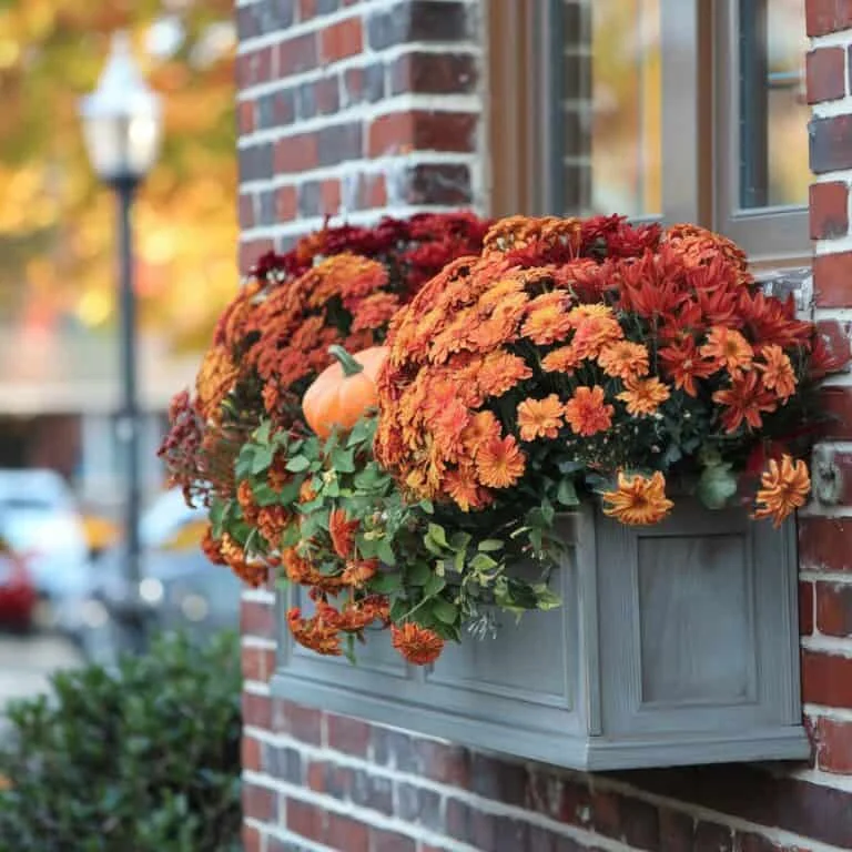 20+ Fall Window Boxes For Your Home Aesthetic