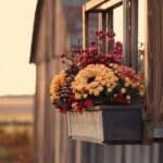20+ Fall Window Boxes For Your Home Aesthetic