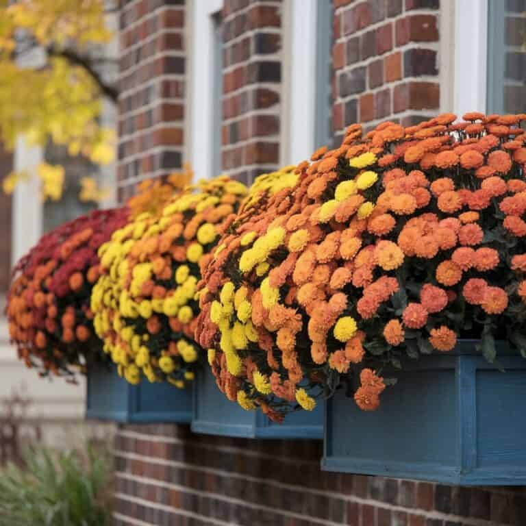 20+ Fall Window Boxes For Your Home Aesthetic
