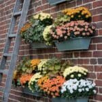 20+ Fall Window Boxes For Your Home Aesthetic